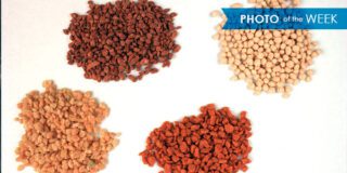 Photo of the Week: Potash Samples