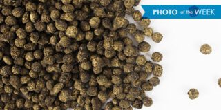 Photo of the Week: Processed Dairy Manure