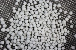 Waste Transformation