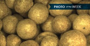 Photo of the Week: Pellets Under a Microscope