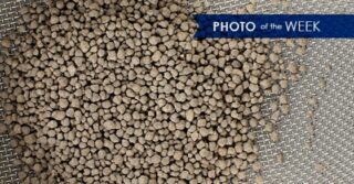 Photo of the Week: Gypsum Sample