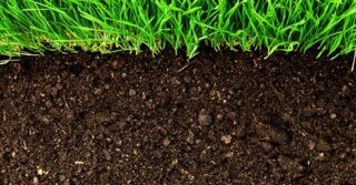 Biochar: A High Performance Organic Fertilizer Created from Biomass
