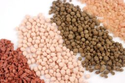 Controlling Characteristics When You Agglomerate Powder